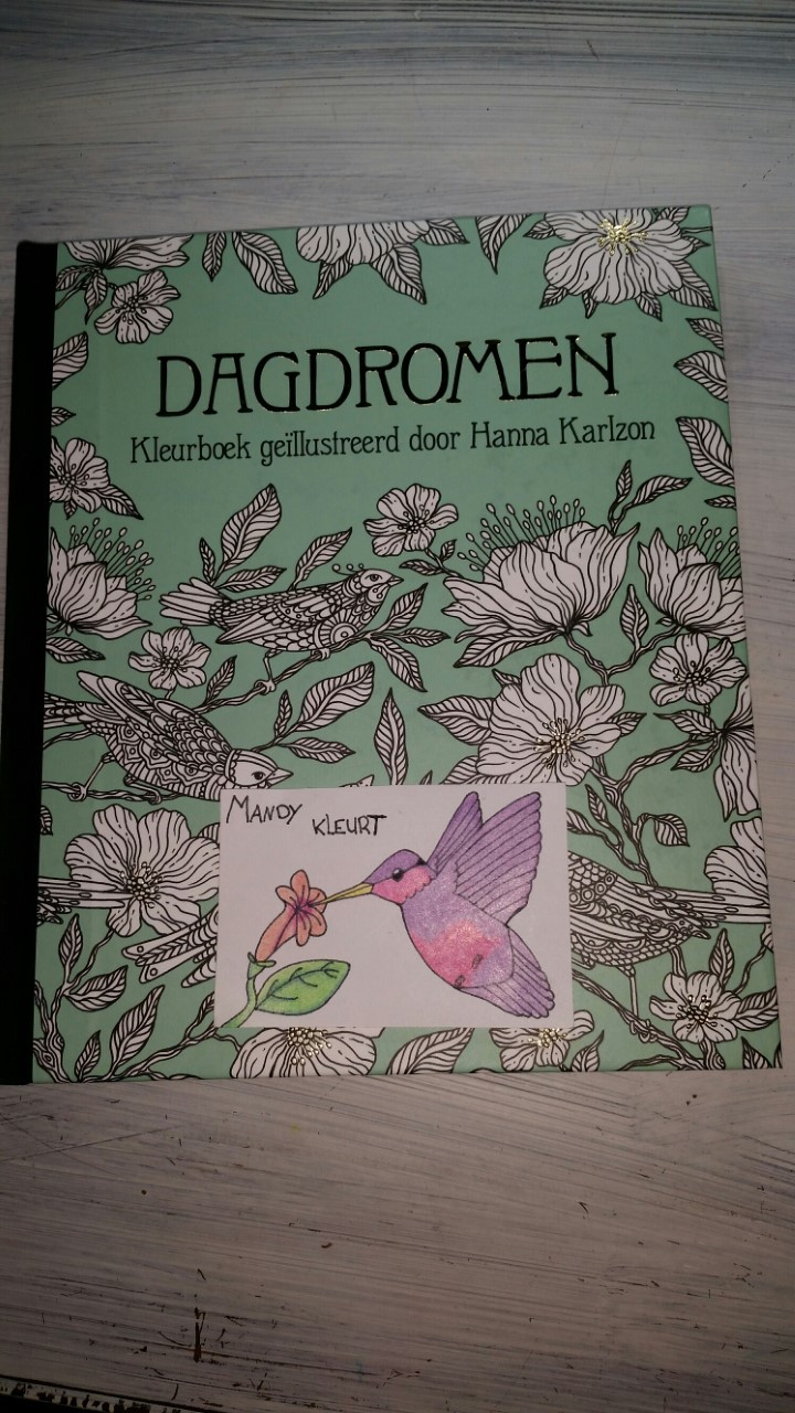 Mandy kleurt: Review DagDromen kleurboek Hanna Karlzon