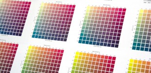 Life Without Color is Arid: Color System