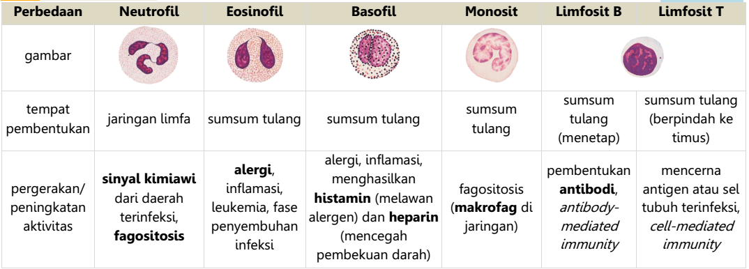 SISTEM TRANSPORTASI PADA MANUSIA - Biologi Buanget