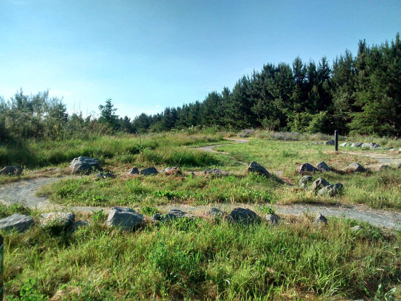 Tired of London, Tired of Life: Go cycling on Ingrebourne Hill