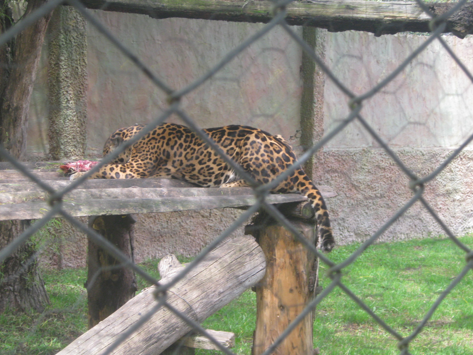 Jaime Duque :D: Historia Del Jaime Duque