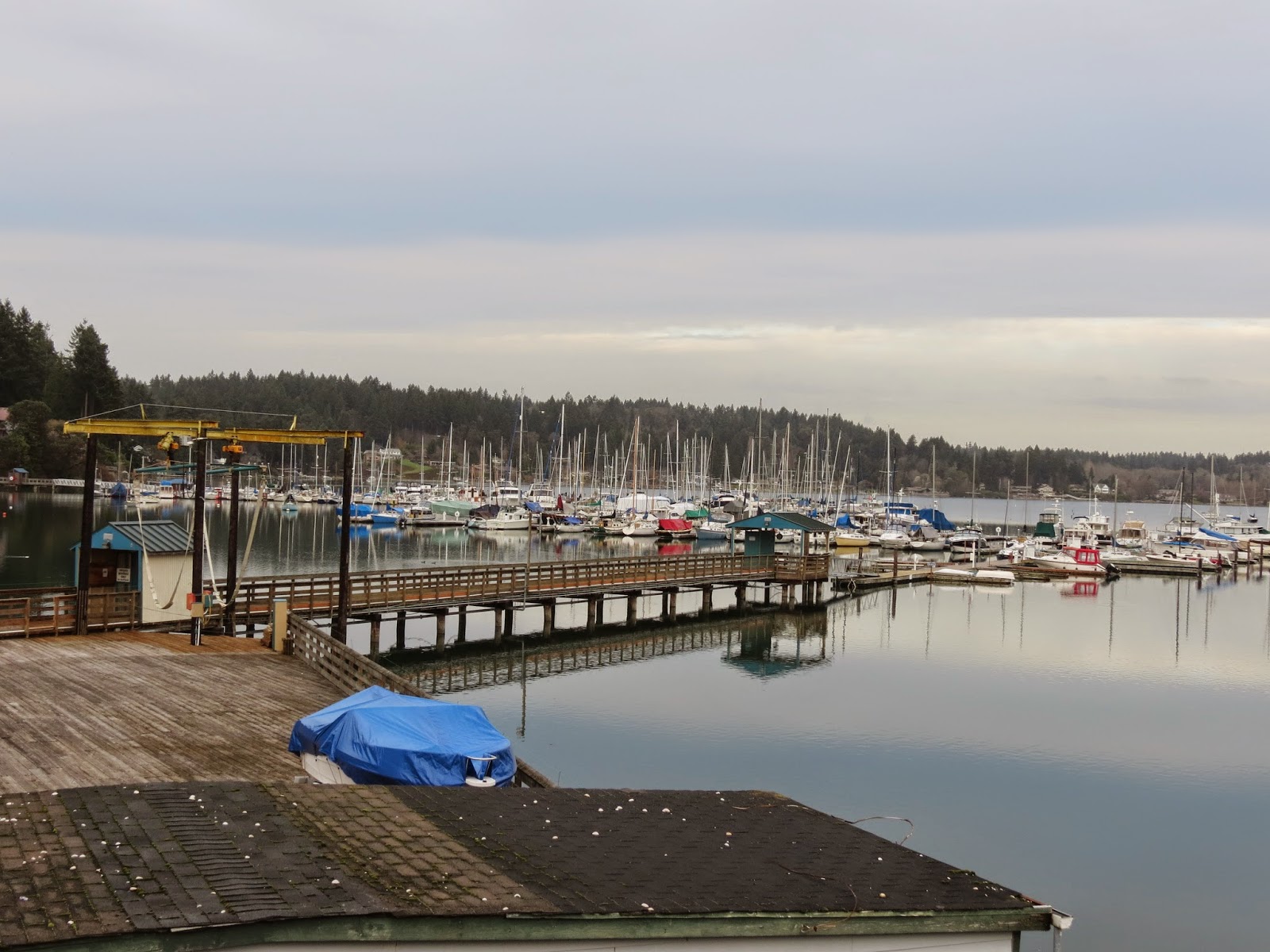 S/V Wand'rin Star: Vashon Island Day Tripper