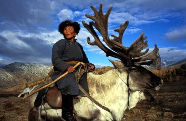 Dr. Elephant: Los sueños y las visiones de iniciación entre los ...