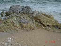 Kelab Geografi&Pencinta Alam SMKST: BENTUK MUKA BUMI - PINGGIR LAUT