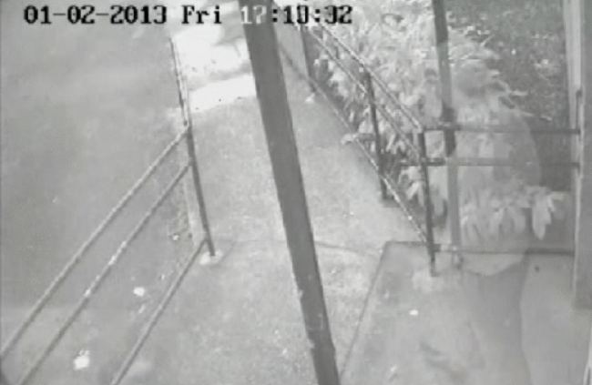 Phantoms and Monsters - Real Cryptid Encounter Reports - Fortean ...