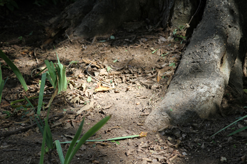 Words of the Heart: Trapped Inside Yourself, Shared Words of the Heart ...