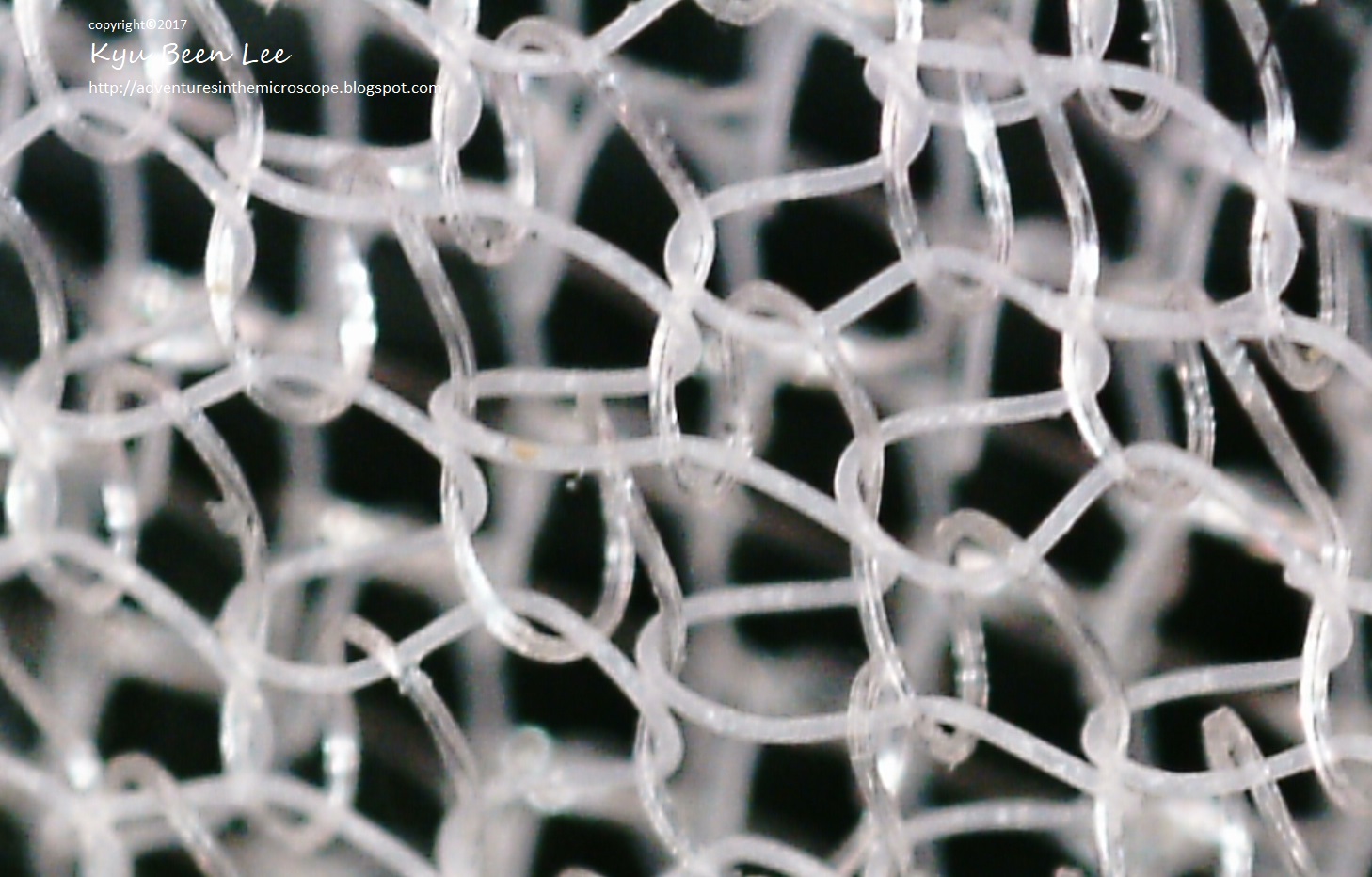 Micro-World: November 2017