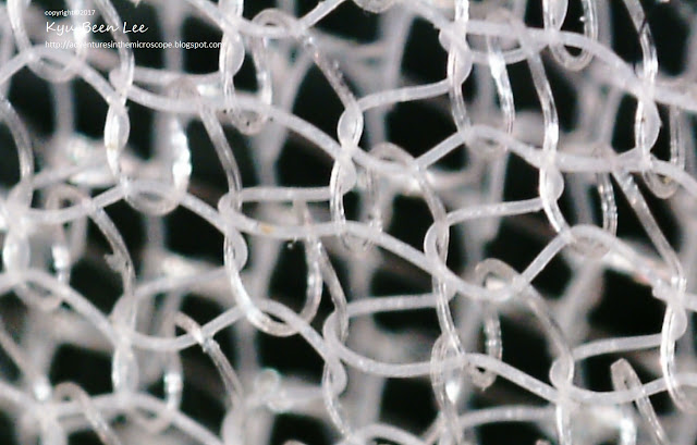 Micro-World: November 2017