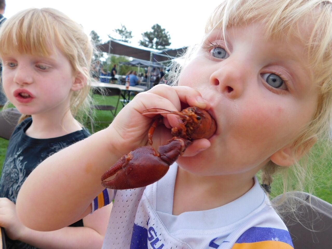 Arizona Crawfish Company