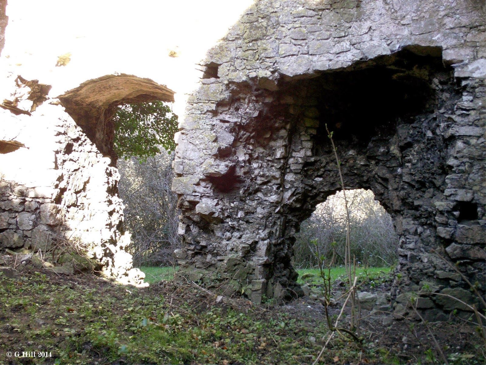 Ireland In Ruins: Lea Castle Co. Laois
