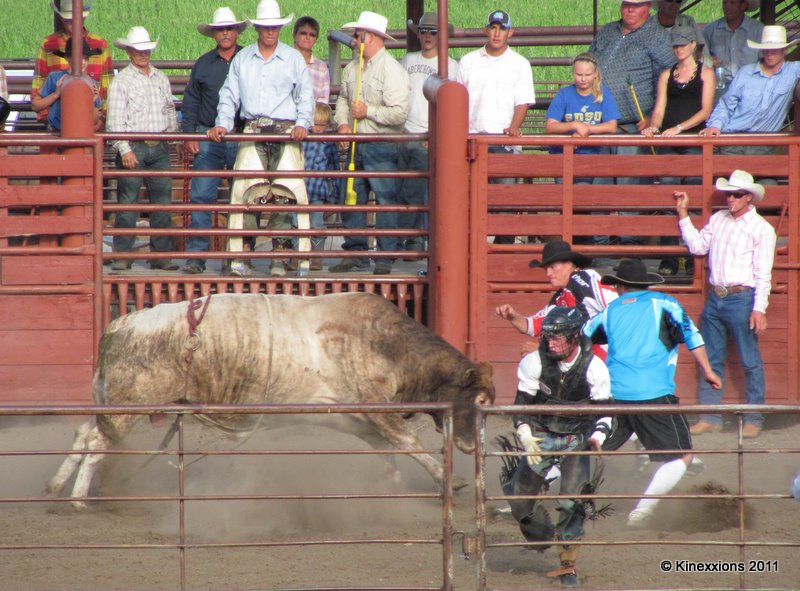 kinexxions: Roe-Dee-Oh :: Bull Riding
