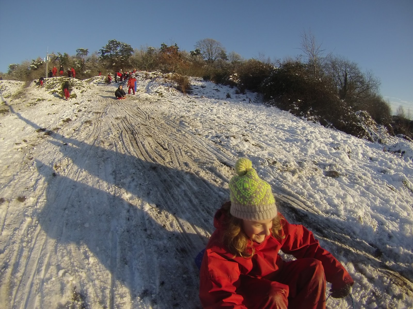 The Dean Field Studies Centre: 2017