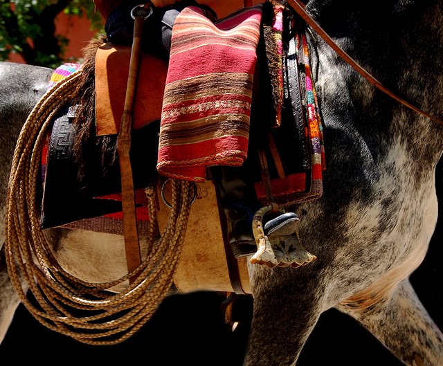 El GAUCHOGUACHO: El lazo