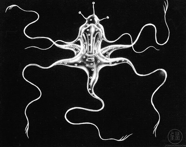 BLOOD WORK: KAIJUOLOGY: DOGORA ~ THE SPACE MONSTER