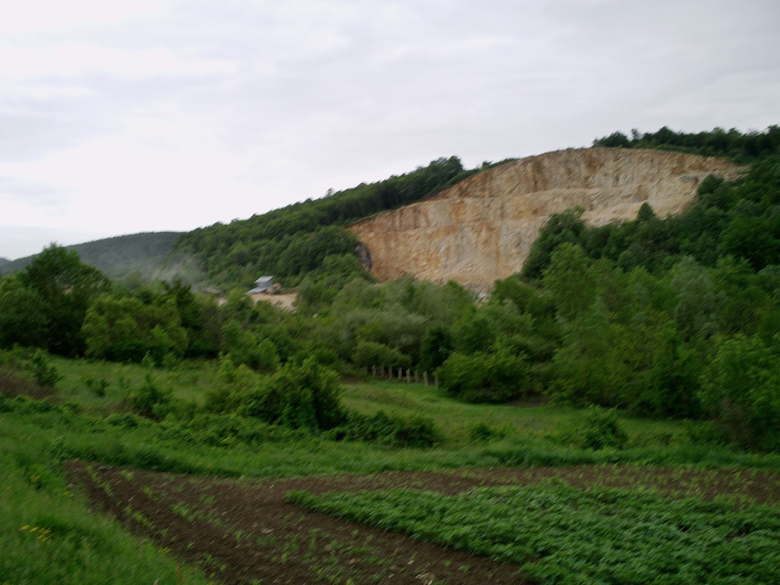 Drenova Prnjavor BiH: O Drenovi