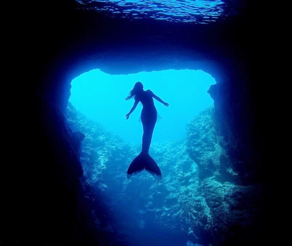 The Cryptic Corridor: Cryptic Curiosities: The Feejee Mermaid