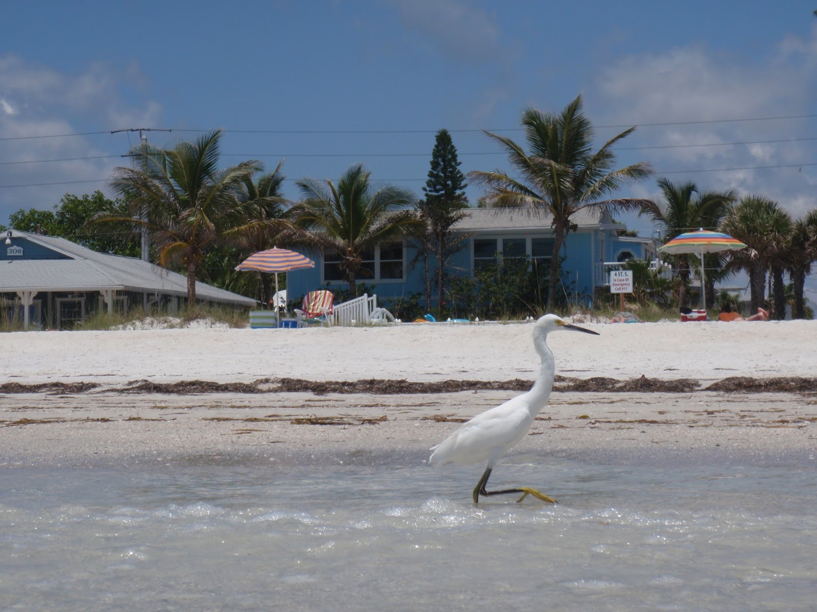 AdvenCharests: Buttonwood Inlet RV Resort - Cortez, Florida