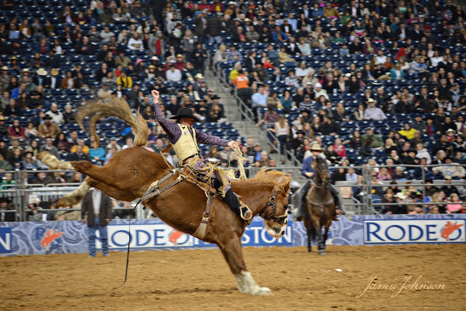 JAMIE JOHNSON -Photographer: Humble Kingwood Houston Dallas TX Cowboy ...