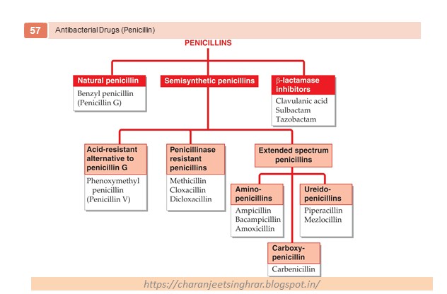 Pharmacological Classification of Drugs