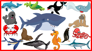 Learn Sea Animals SUPER SIMPLE | Learning Sea Animals Names and Sounds ...