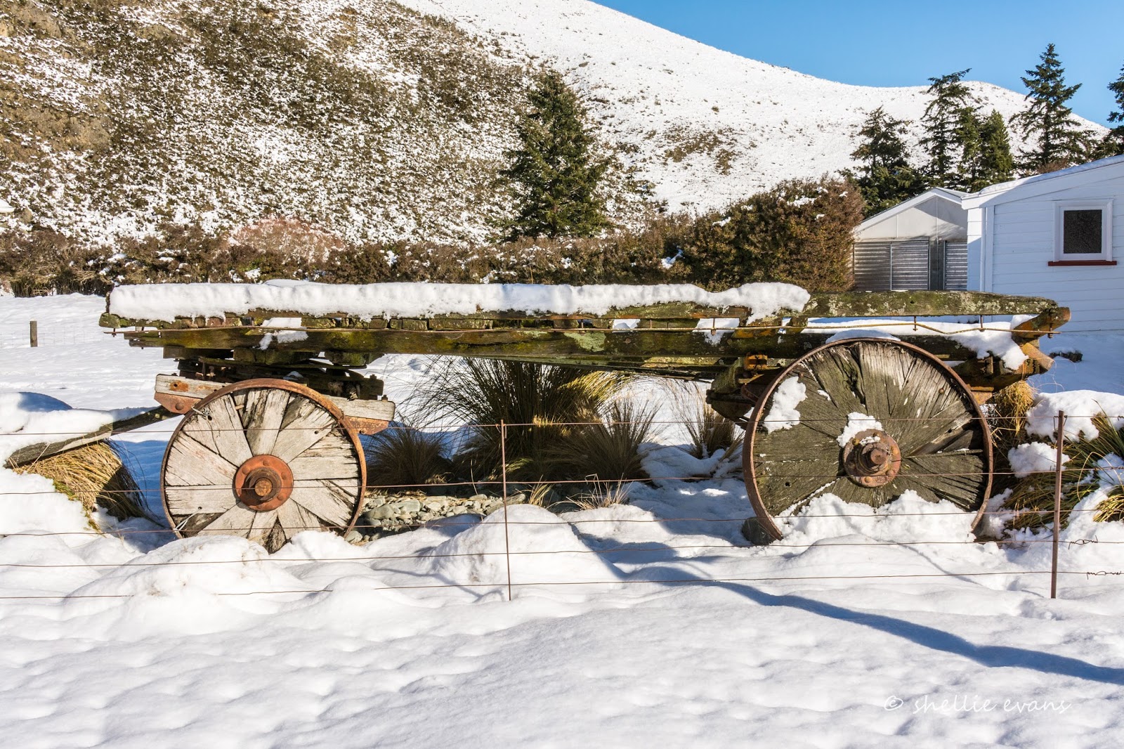 Two Go Tiki Touring: Snow Photos- Canterbury