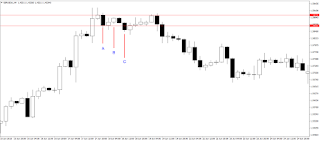 Fibo Musang - Forex & Anime
