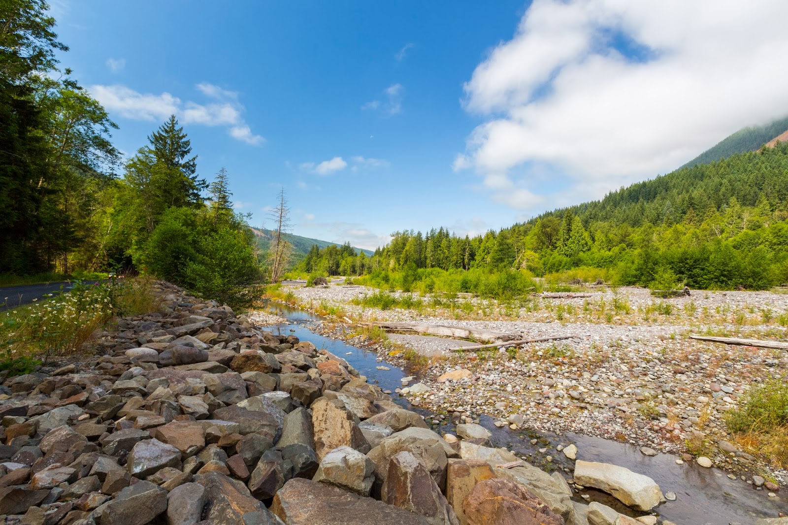 Naturetastic Blog: Carbon River/Sunrise Lake - Mount Rainier National ...