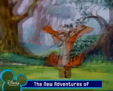 The New Adventures of Winnie The Pooh: Tigger's Shoes