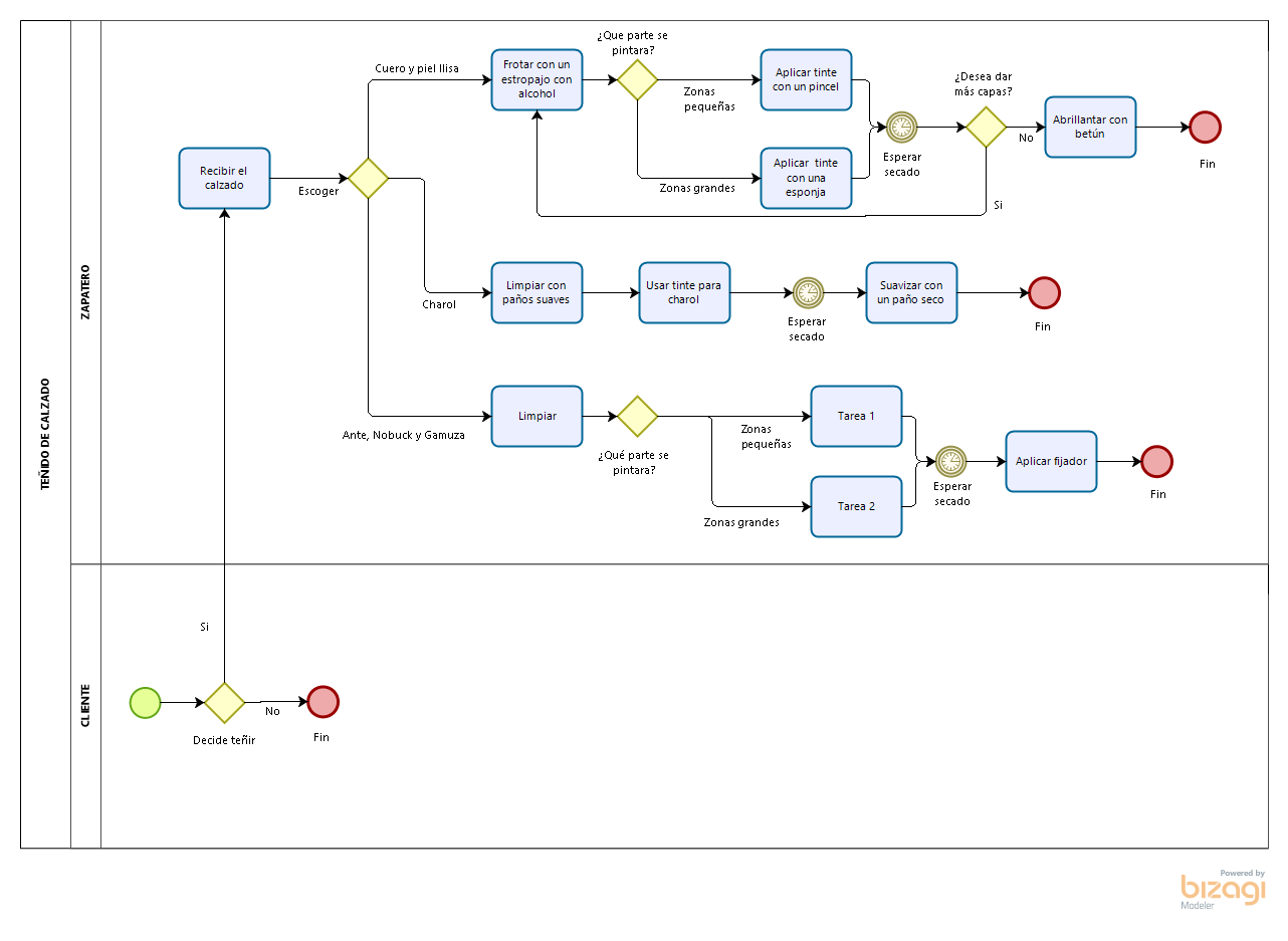 APLICACION DE BIZAGI - Desarrollo Organizacional