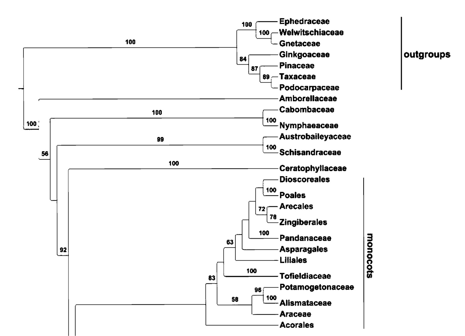 Ботанічний блог Дениса Давидова: січня 2018