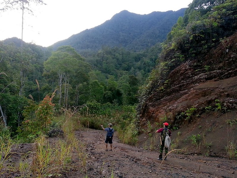 Gunung Bukit Pagon Berada Di Negara - Perumperindo.co.id