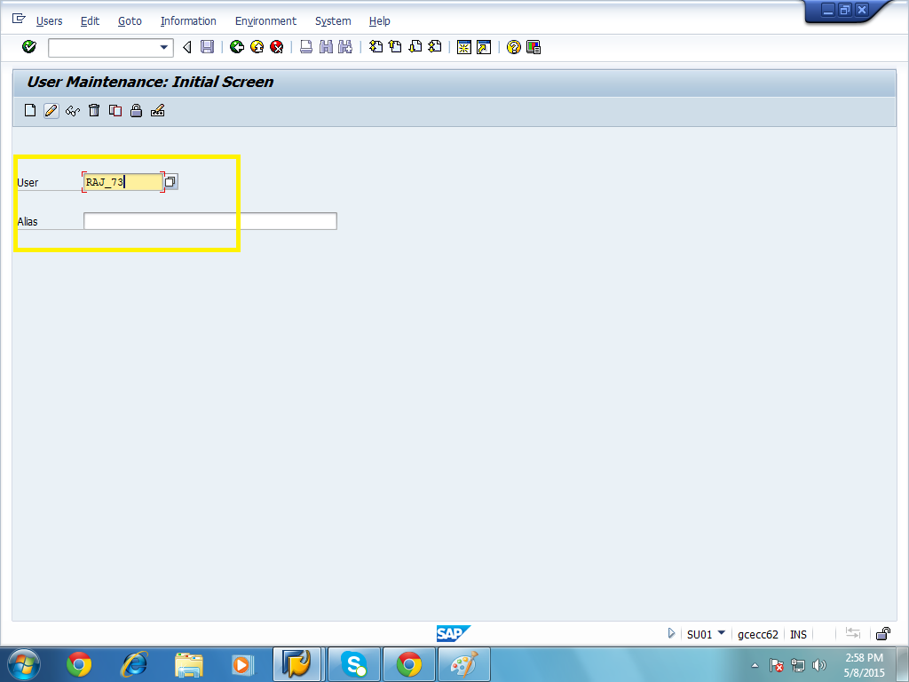 SAP BASIS : How do assign roles in sap basis