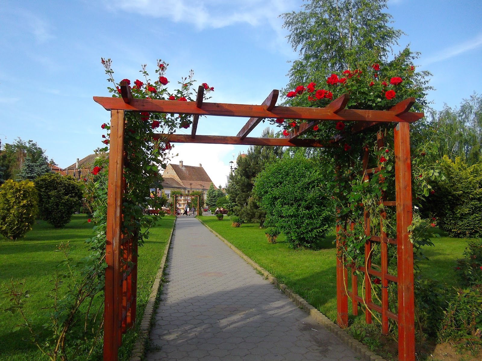 Trip to Sebes, Romania - part 2 | Life in Luxembourg