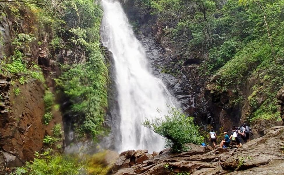 10+ Best Waterfalls in Goa That You Must Visit Once - Home