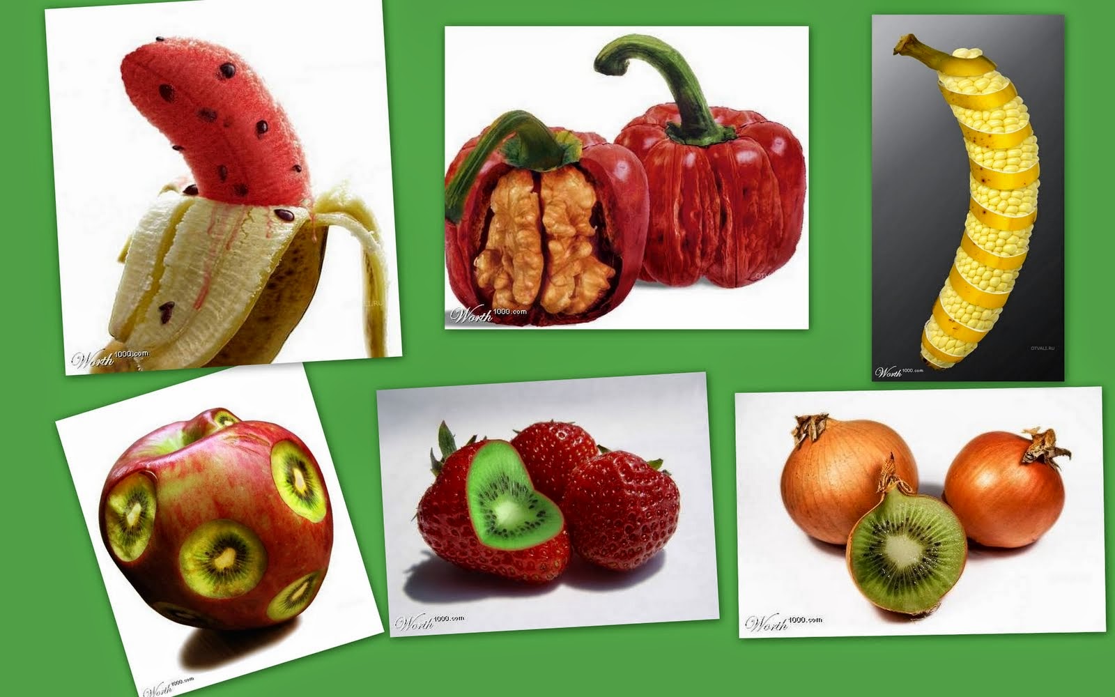 Modificación Genetica - Plantas Transangenicas y alimentos ...