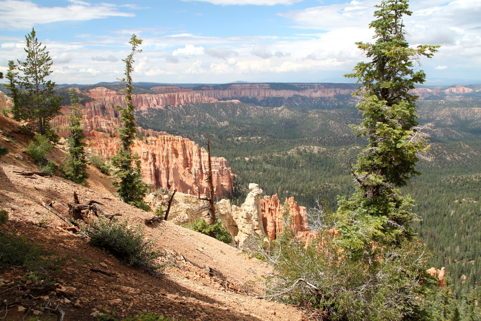 Kim Stenberg's Painting Journal: "Rainbow Point at Bryce Canyon" (oil ...