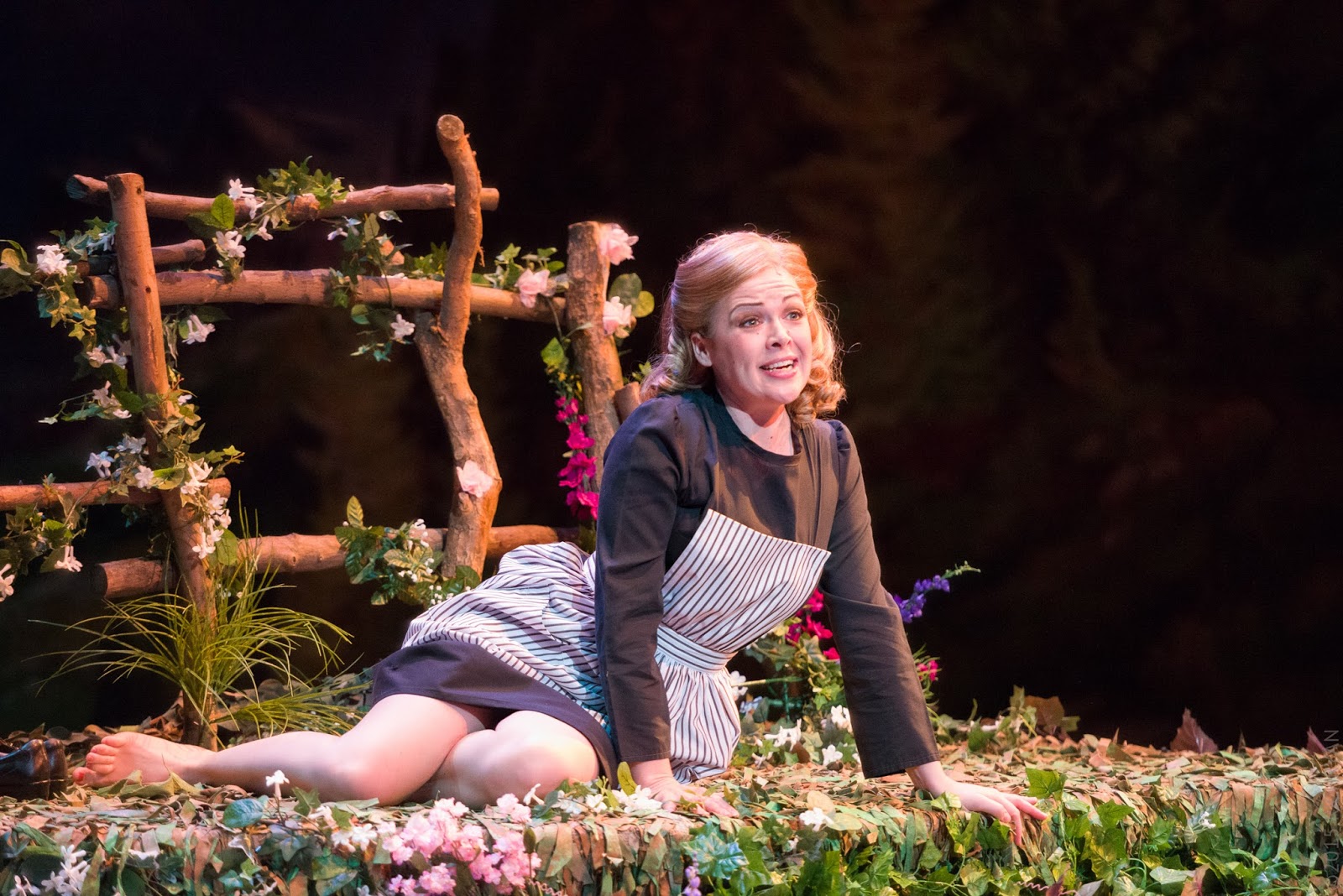 Minnesota Theater Love: The Sound of Music - The Ordway