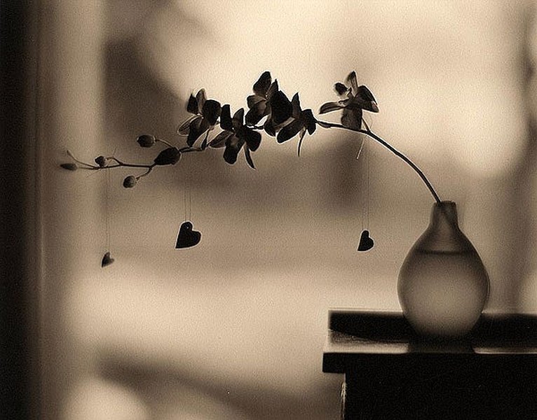 Los Grandes Fotografos: James Pitts (1953)