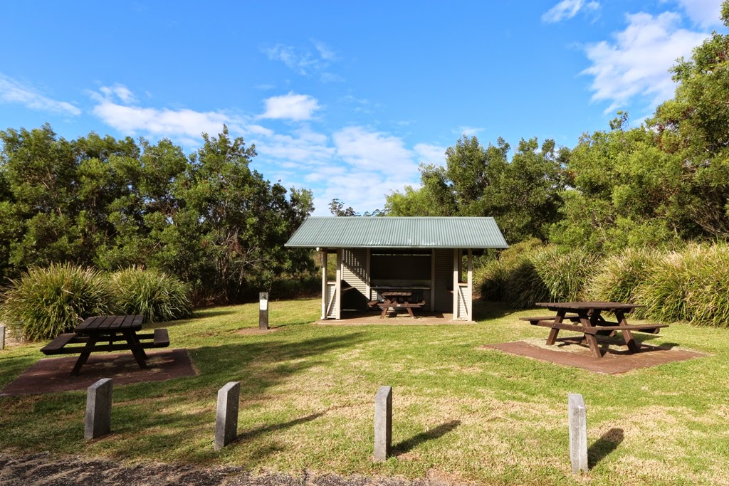 National Park Odyssey: Springbrook National Park, QLD. Revisit in April ...