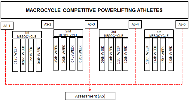 Trying to Build Strength? Periodized Training Yields 30% / 34% / 77% ...