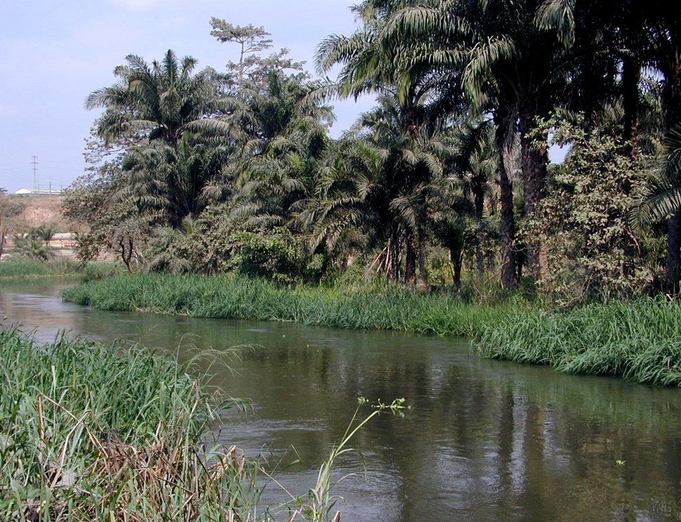 Causos de Viajante: Angola - A água do Bengo