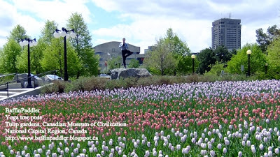 Yoga with tulips in Canada's National Capital Region