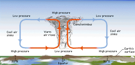 Geography revision blog: The Tropical Equatorial Rainforest