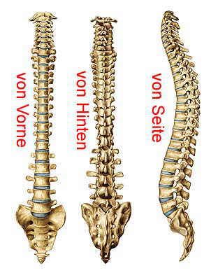 කුණ්ඩලිනී ශක්තිය අවදි කරවන නිවැරදි භාවනාව Kundalini Meditation