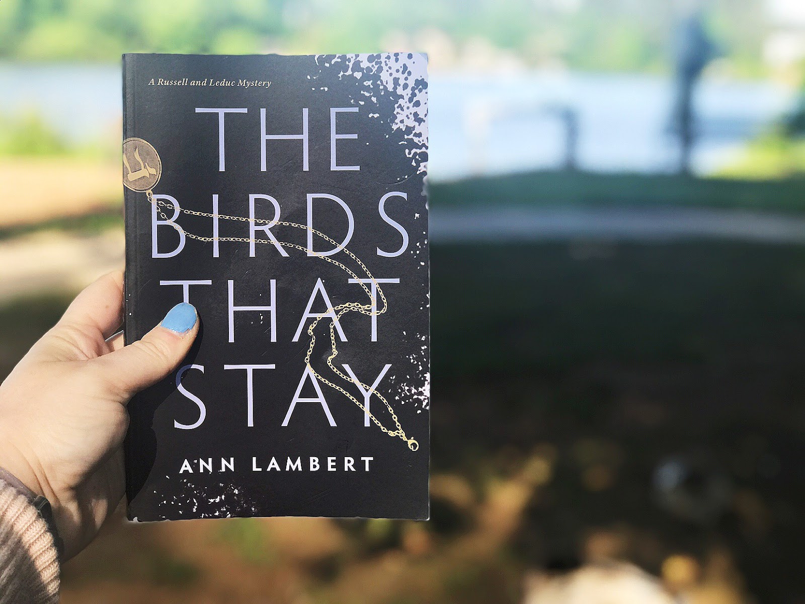 Book Review: The Birds That Stay by Ann Lambert - A Paper Arrow
