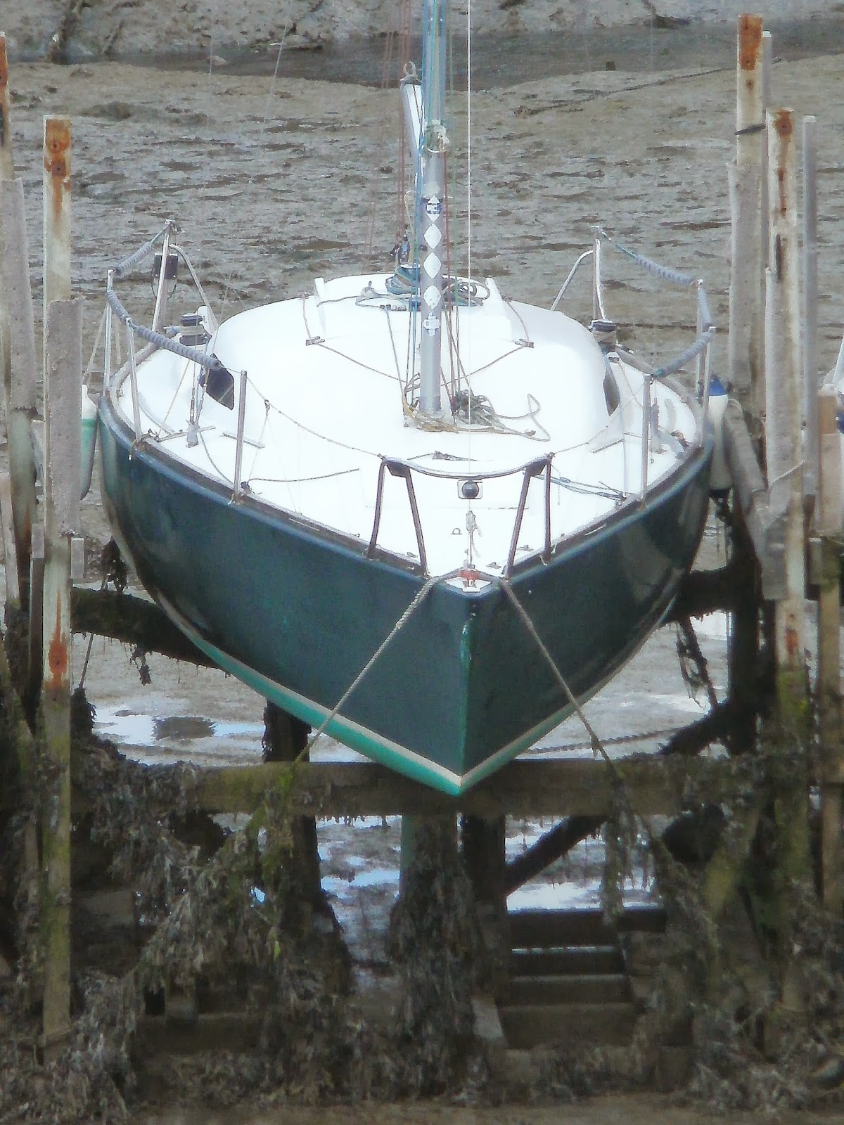 Shockwave40: Farr 727 - Quarter Ton IOR Yacht - Jersey 2013