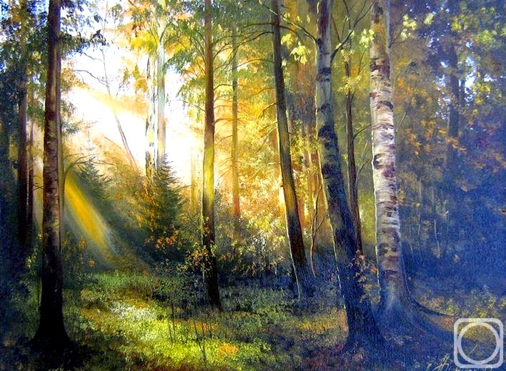 Arte Cristina Faleroni