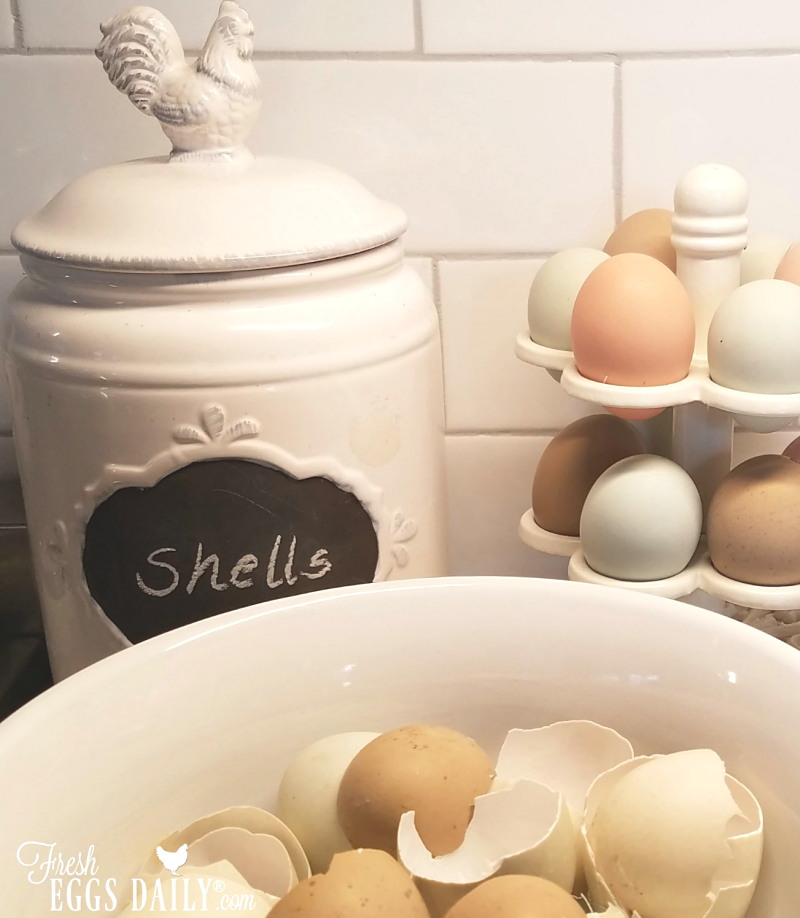 10 Practical Uses for Eggshells - Fresh Eggs Daily® with Lisa Steele