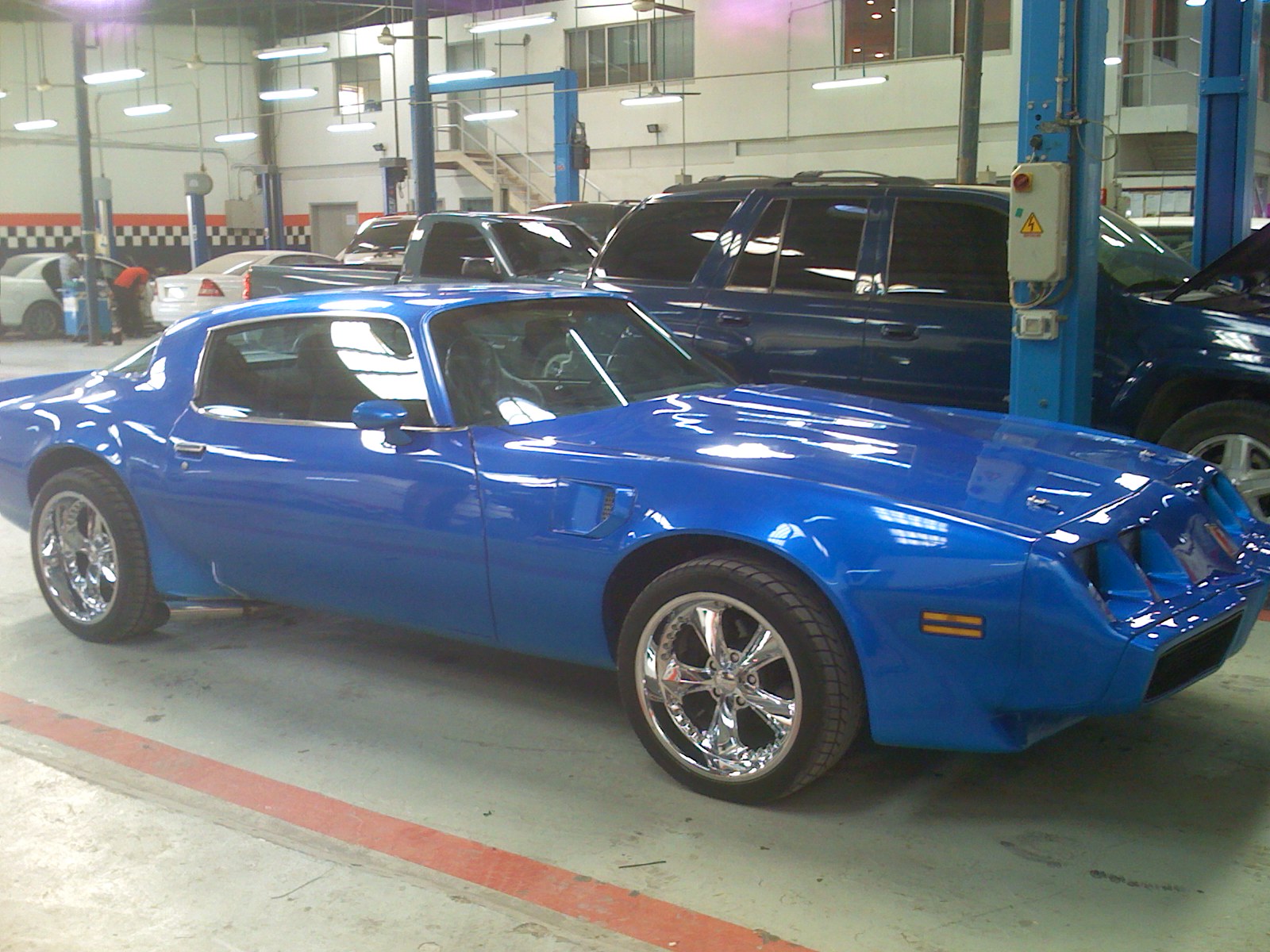 Experience the Iconic American Muscle Car: Trams Am 1979 - History ...