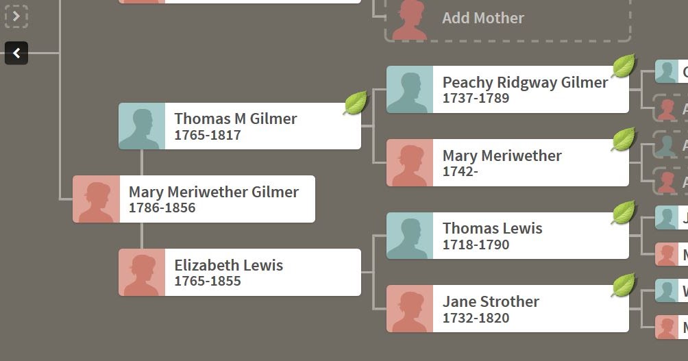 A Family Tapestry: Matrilineal Musings